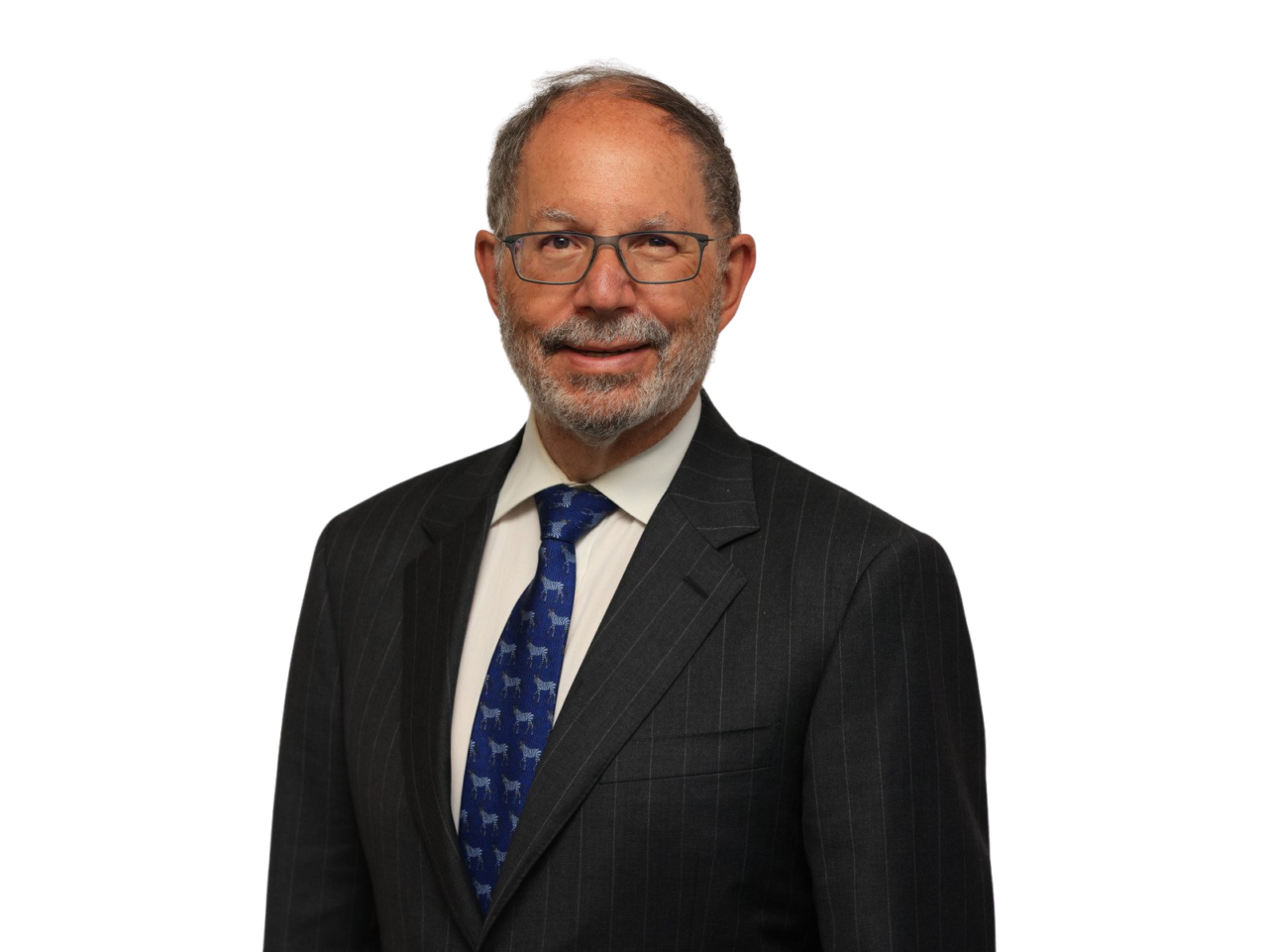 David P. Leibowitz, Chicago Bankruptcy Lawyer - Lakelaw